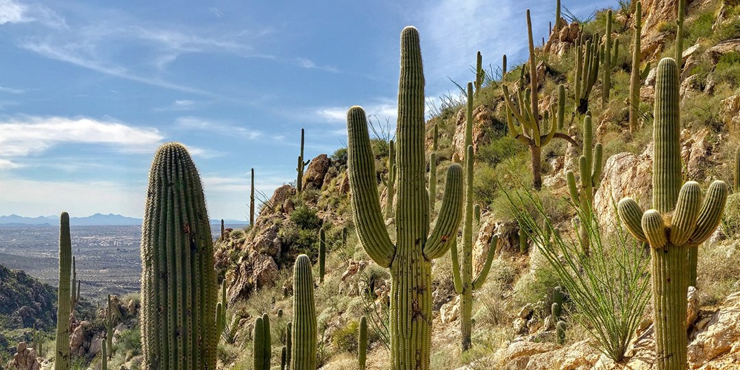 Arizona Experience Gifts & Deals | Travelzoo