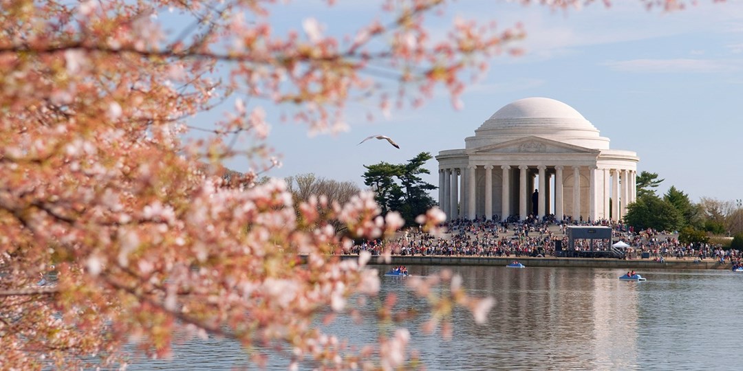 Washington, D.C. Experience Gifts & Deals | Travelzoo