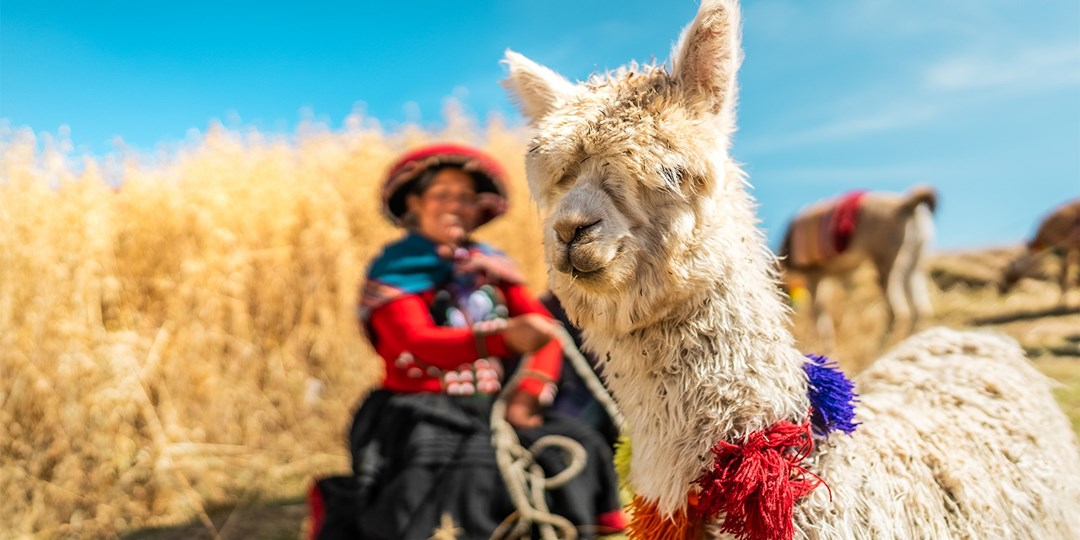 $2399 & up—Best of Peru: 7 nights w/tours & flights | Travelzoo