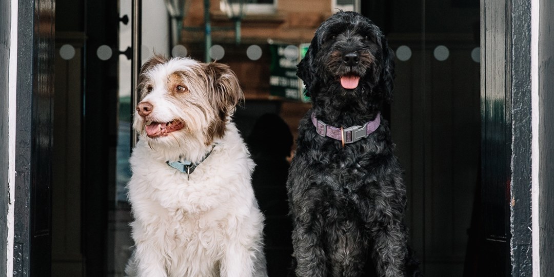 £199—2 nights in a Cumbrian pub w/3-course dinner | Travelzoo