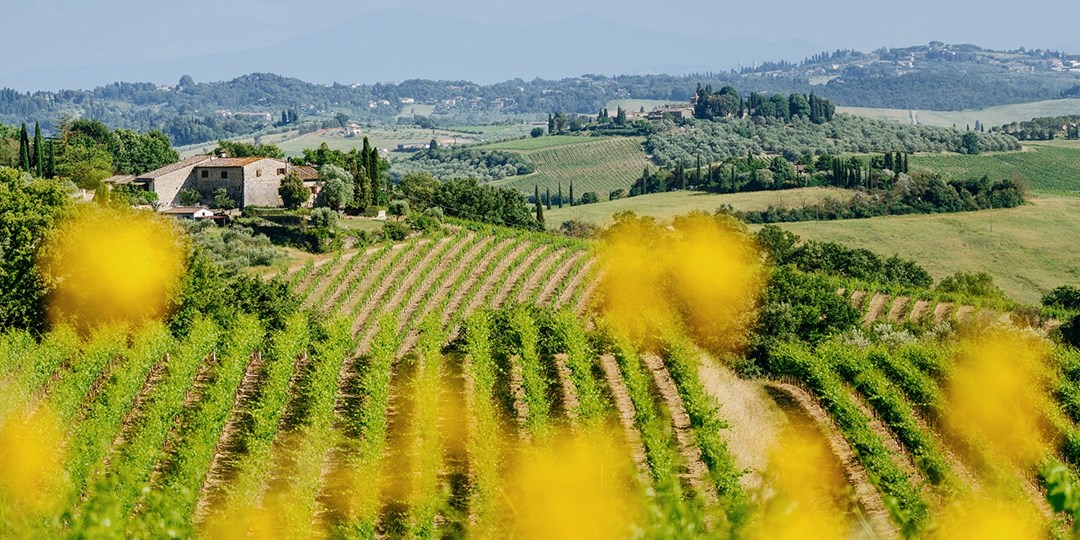 $1085—Secluded Tuscany estate: 3 nights, reg. $1583 | Travelzoo