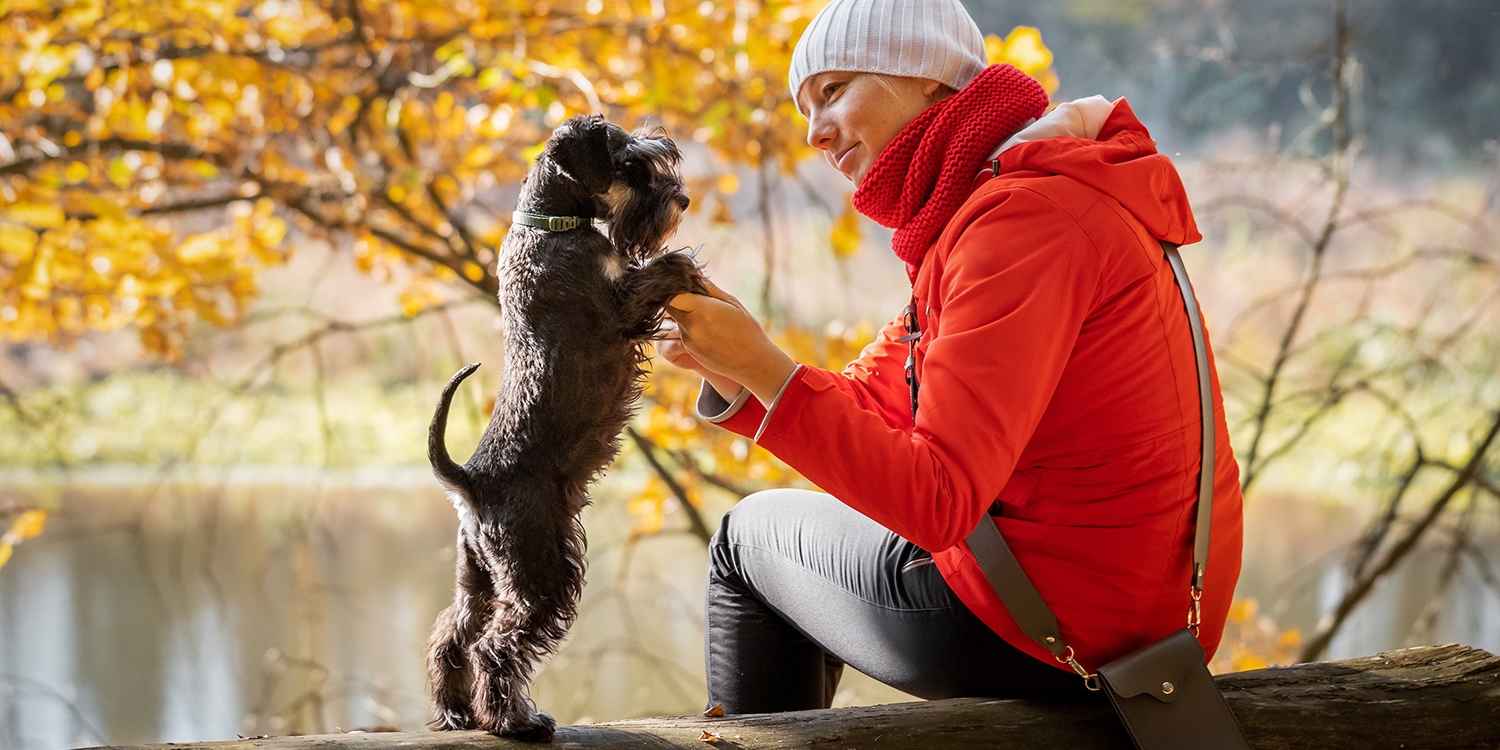 Travel & entertainment deals: hotels, holidays, cruises, restaurants, shows