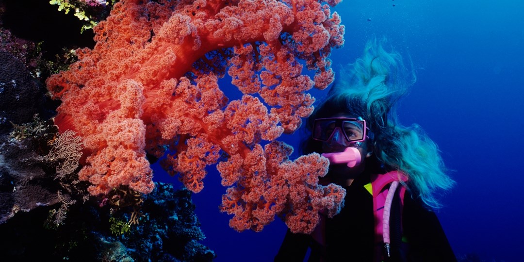 Australia & Great Barrier Reef 12-night tour incl. air | Travelzoo