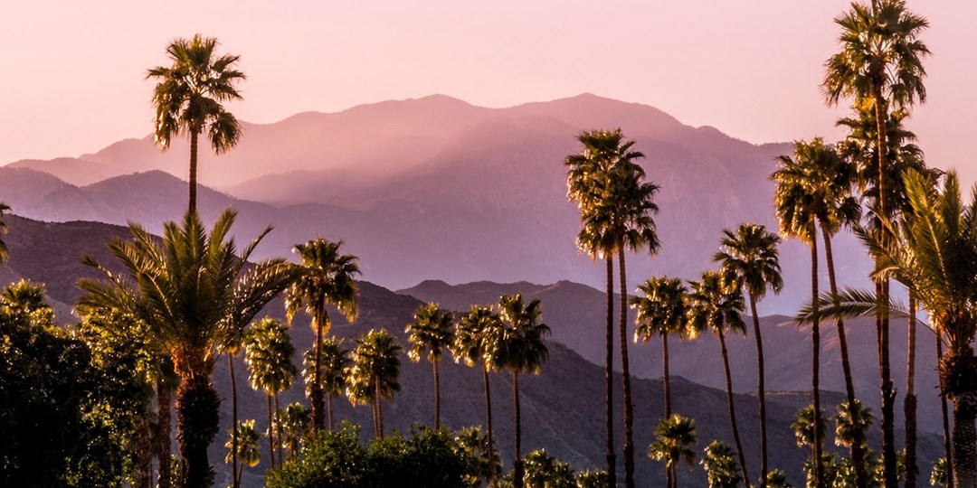 $306—Fly Winnipeg to Palm Springs in winter (r/t) | Travelzoo