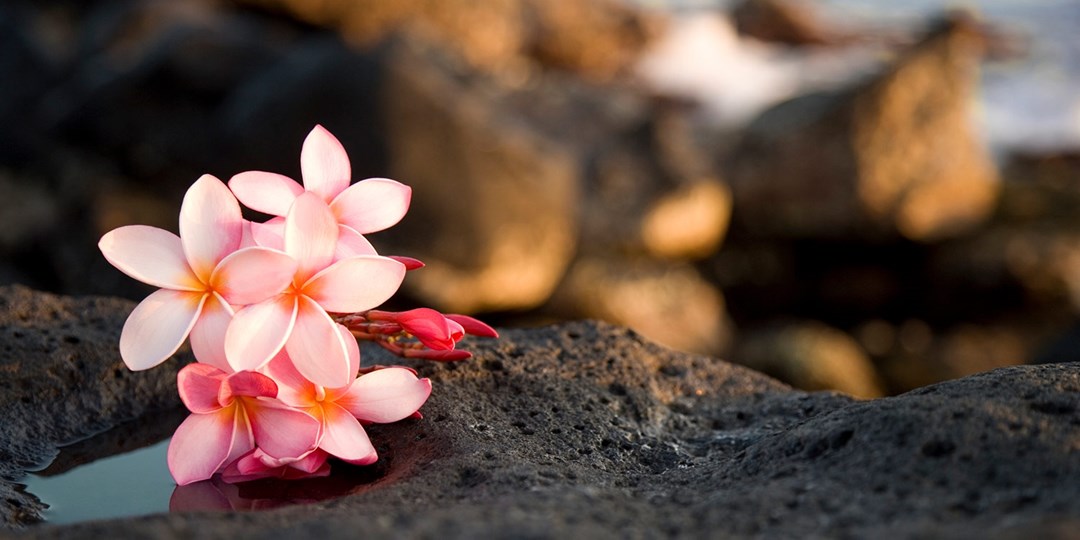 $735—Fly Montreal to Hawaii's Big Island this fall (r/t) | Travelzoo