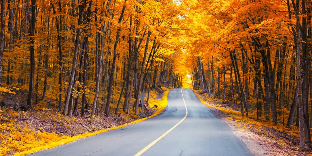 Fall getaways | Hotel deals in Canada | Travelzoo