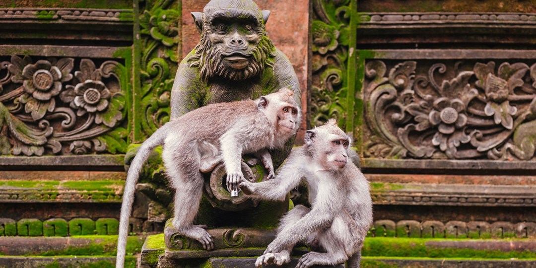 $1299—Bali 5-star week incl. tours & flights | Travelzoo