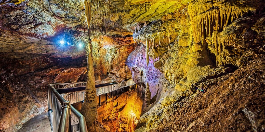 $2753—Melbourne to Sydney highlights tour | Travelzoo