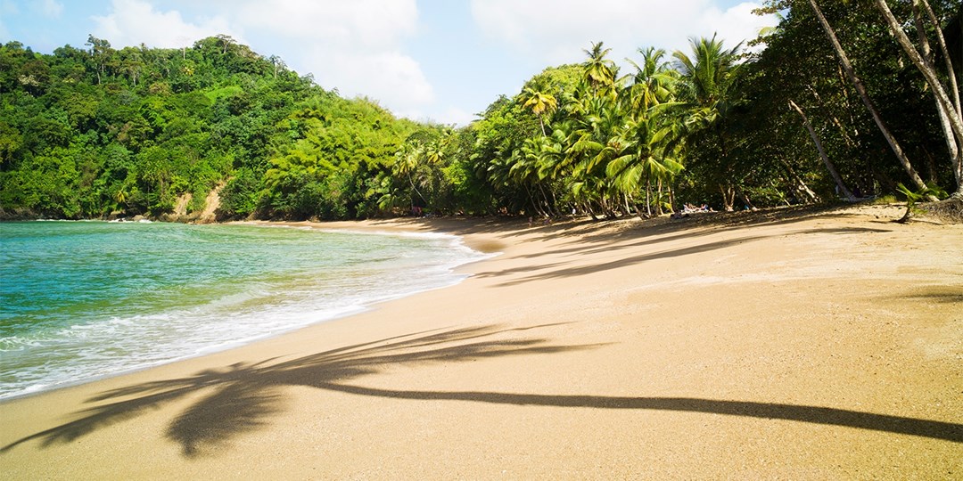 Tobago | Travelzoo