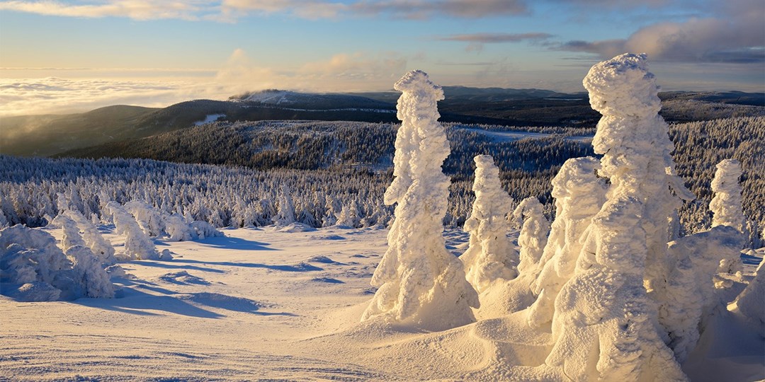 Winter im Harz | Travelzoo