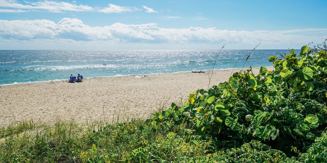 Florida travel & entertainment deals | Travelzoo