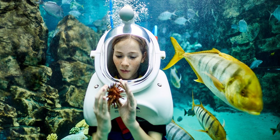 Orlando | Featured Destination | Travelzoo | Travelzoo