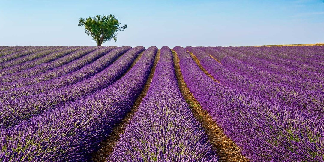 Los 10 pueblos más bonitos de La Provenza francesa | Travelzoo