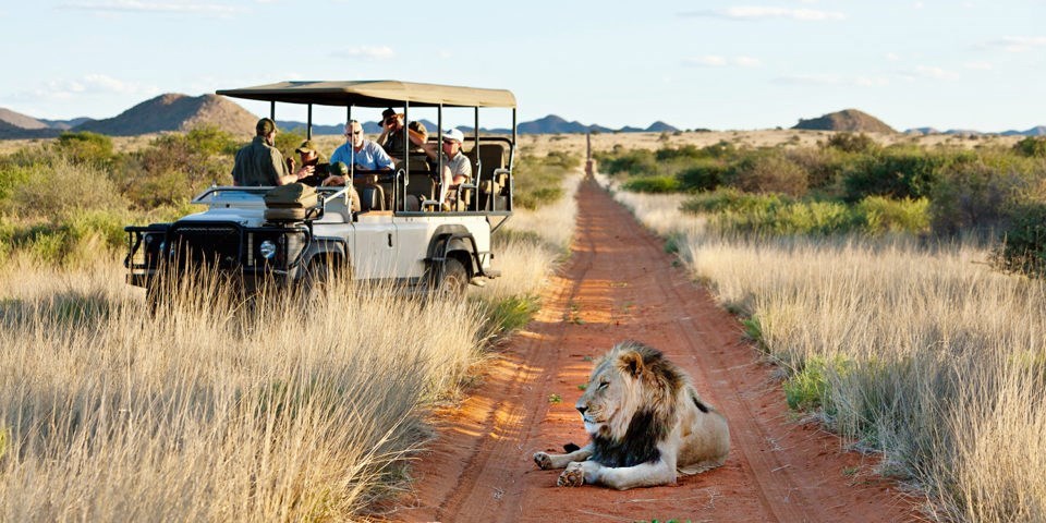 13 incredible South Africa experiences for your bucket list | Travelzoo