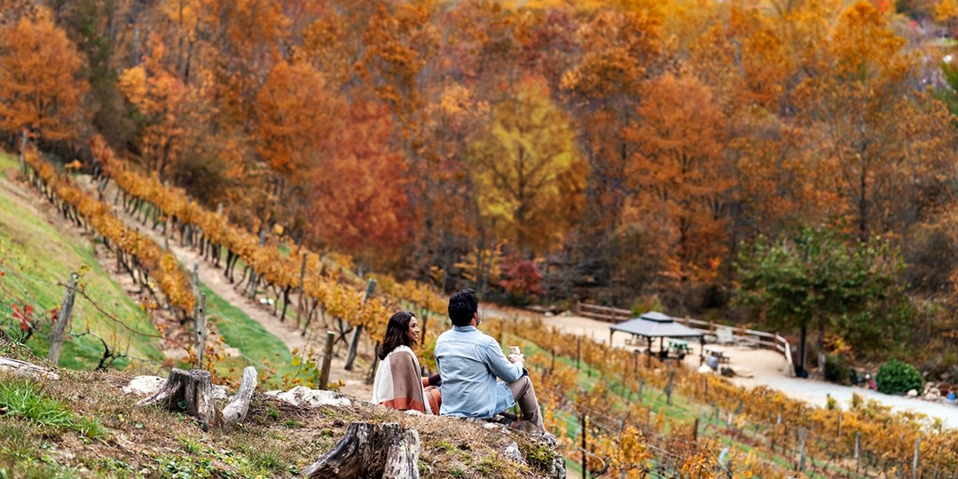 Fall for real in North Carolina | Travelzoo
