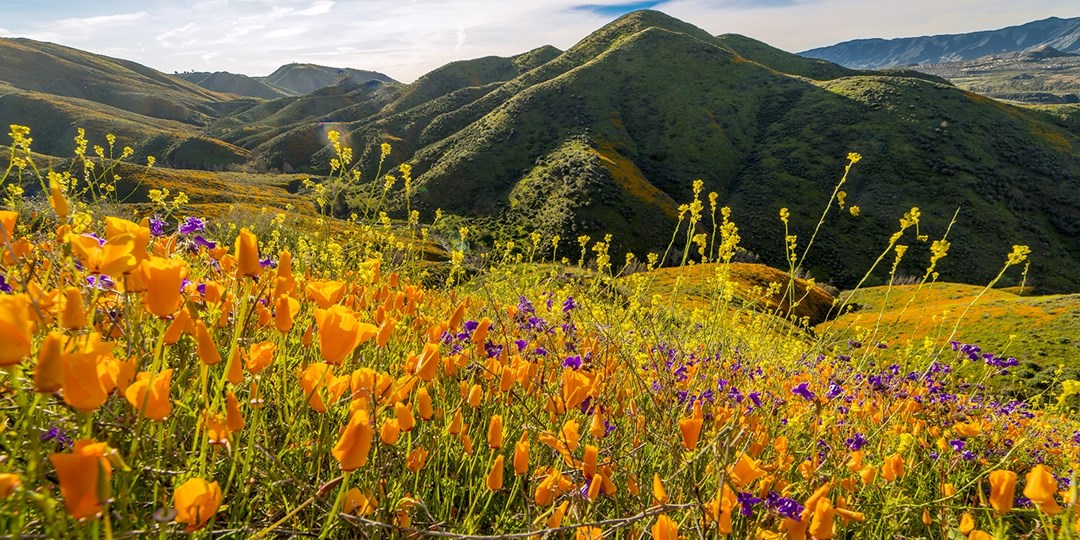 Wander Local: 7 Places to Spend the Day in Southern California | Travelzoo
