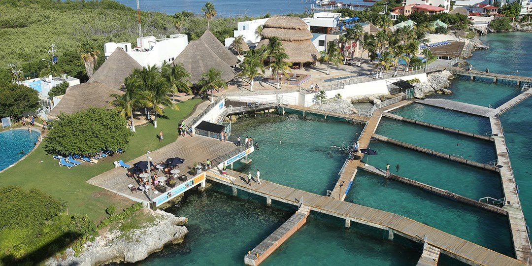 $123 & up—Cancun: explore top attractions with Go City | Travelzoo