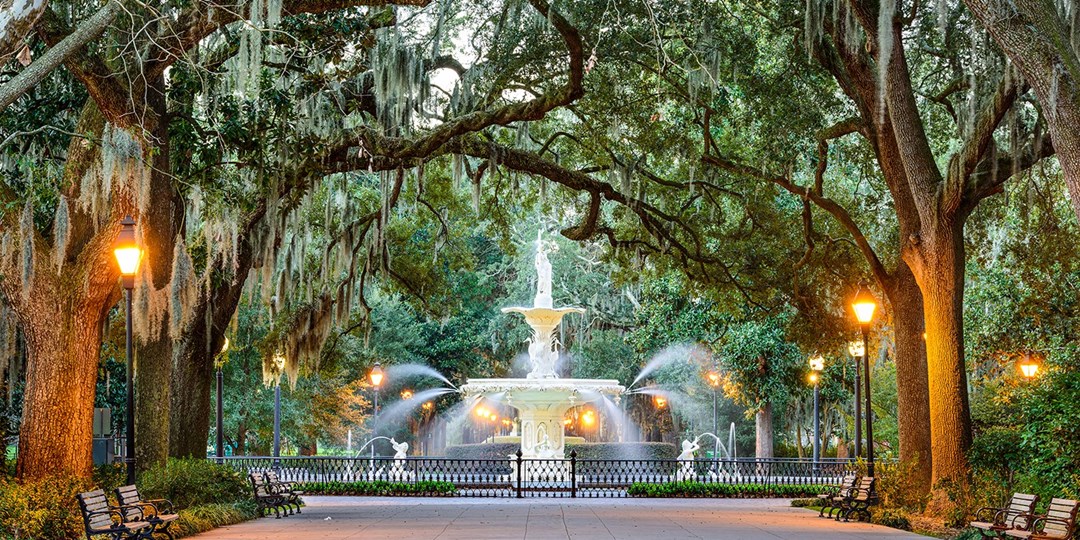 5 Must-Have Savannah Moments | Travelzoo