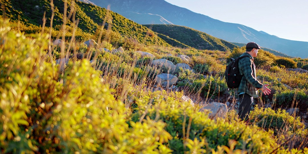 GOCAL in SoCal: Why this destination gives you greater options | Travelzoo