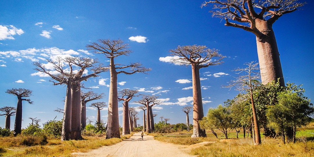 Viajazo a Madagascar 17 días con visitas, -50% | Travelzoo