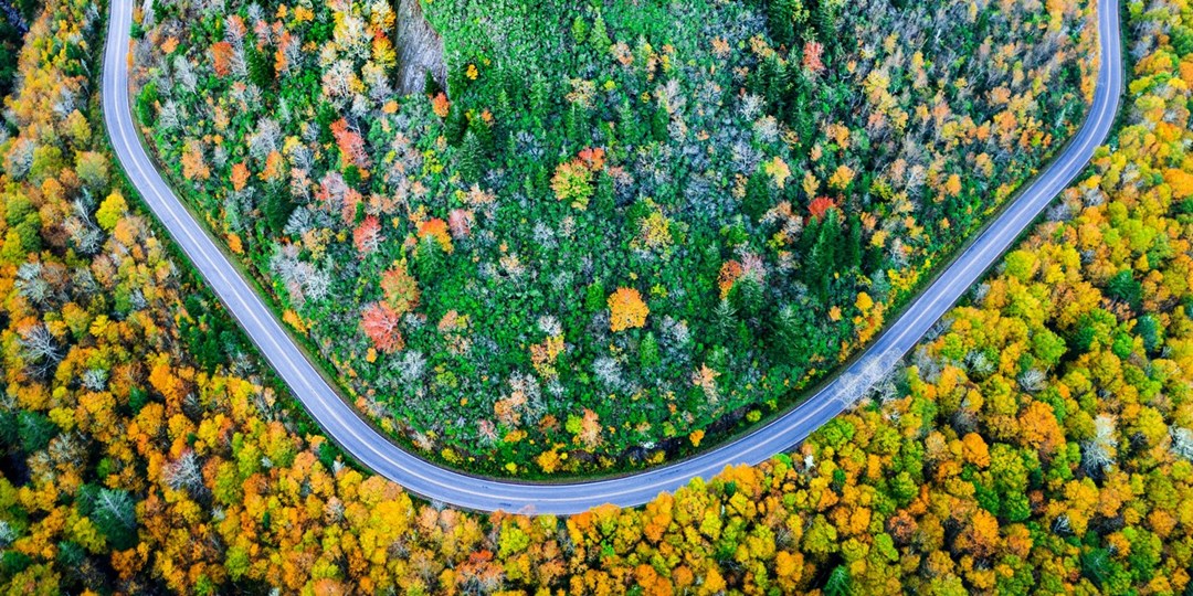 North Carolina | Travelzoo