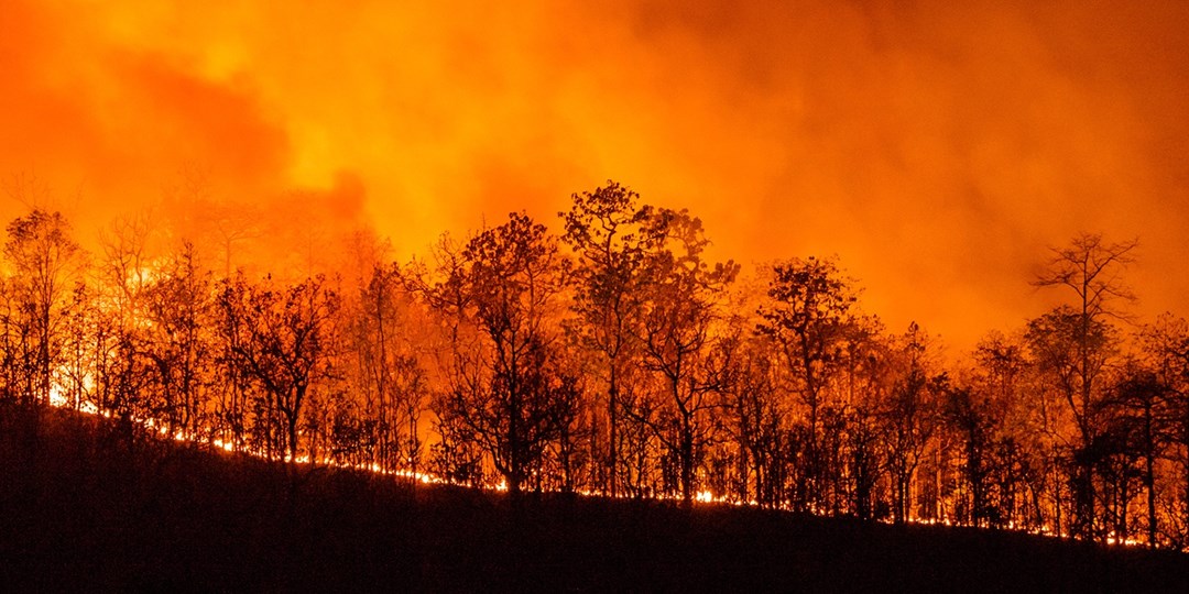 Fires in the Amazon: What You Need to Know, and What You Can Do | Travelzoo