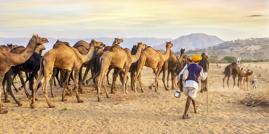 The Best Places To Travel in November | Travelzoo