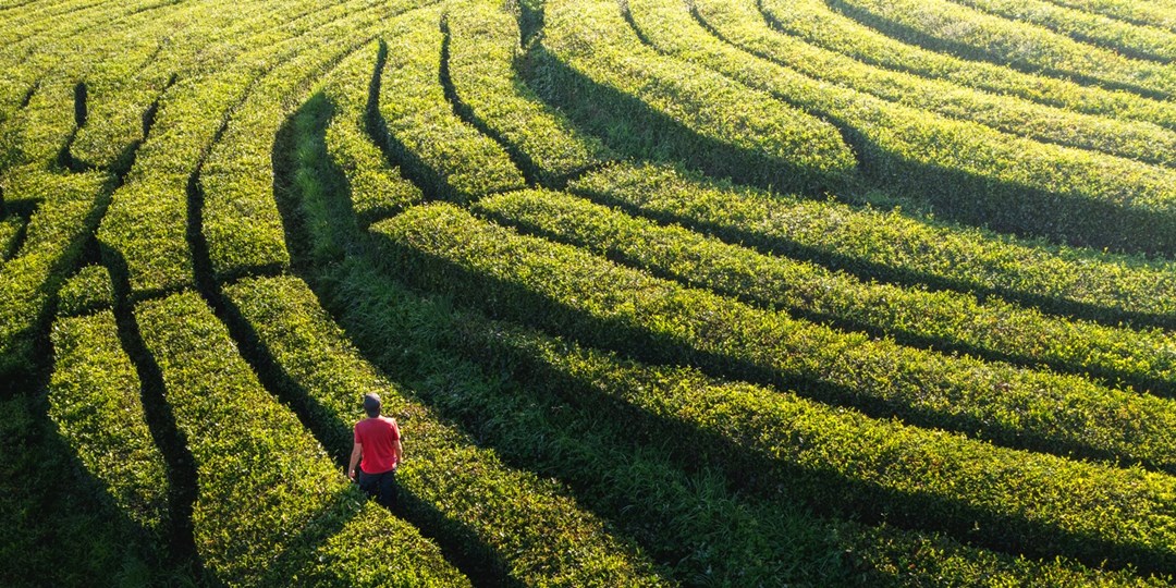 $2298 & up—Weeklong trip to the Azores w/tours & flights | Travelzoo