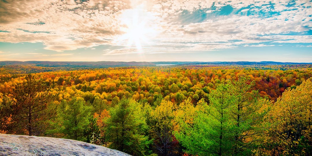 L’Eté indien : un vrai bon plan | Travelzoo