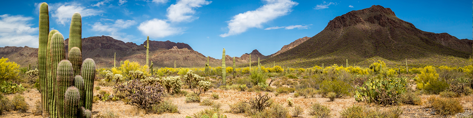 Phoenix Activity & Attractions Deals | Travelzoo