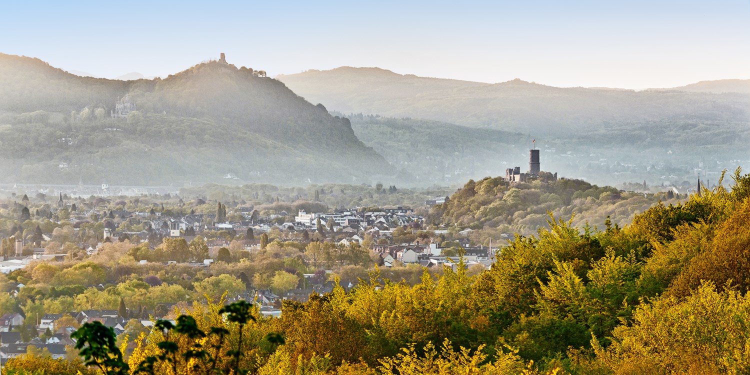 Dorint Venusberg Bonn | Travelzoo