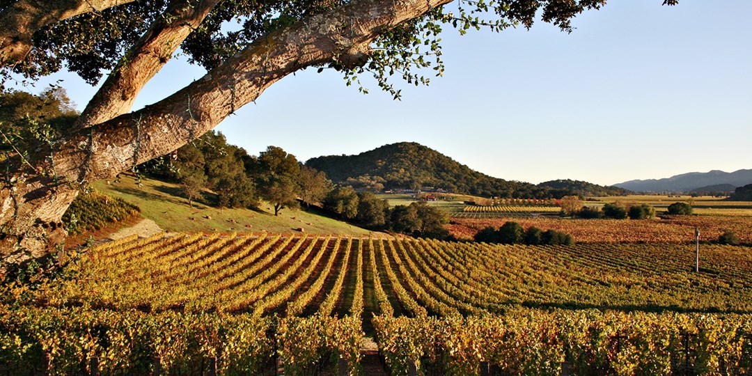 15 Reasons We’re Crushing on Calistoga Ranch This Harvest Season ...